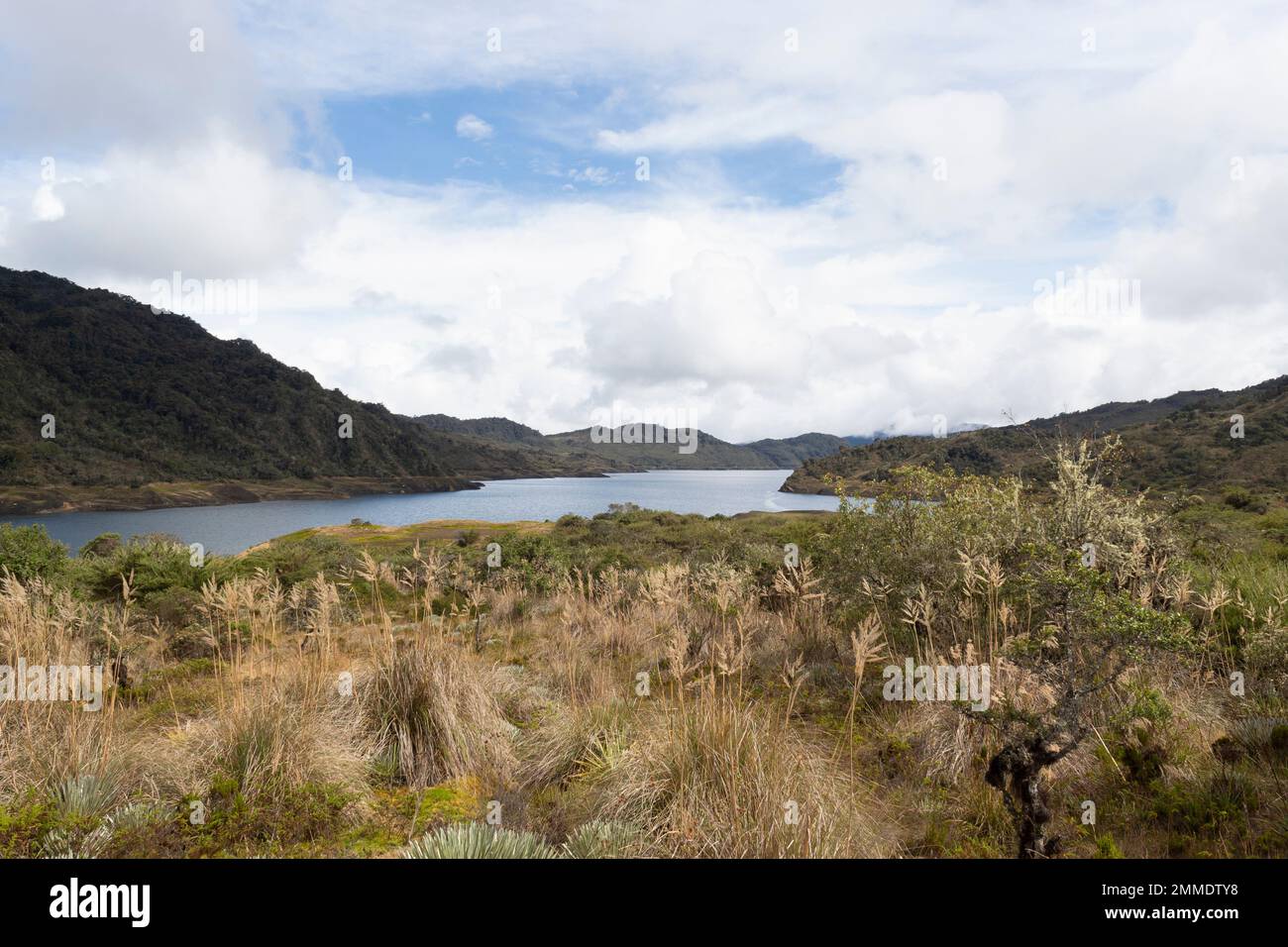 Chingaza national natural park landscape at sunset golden hour Stock ...