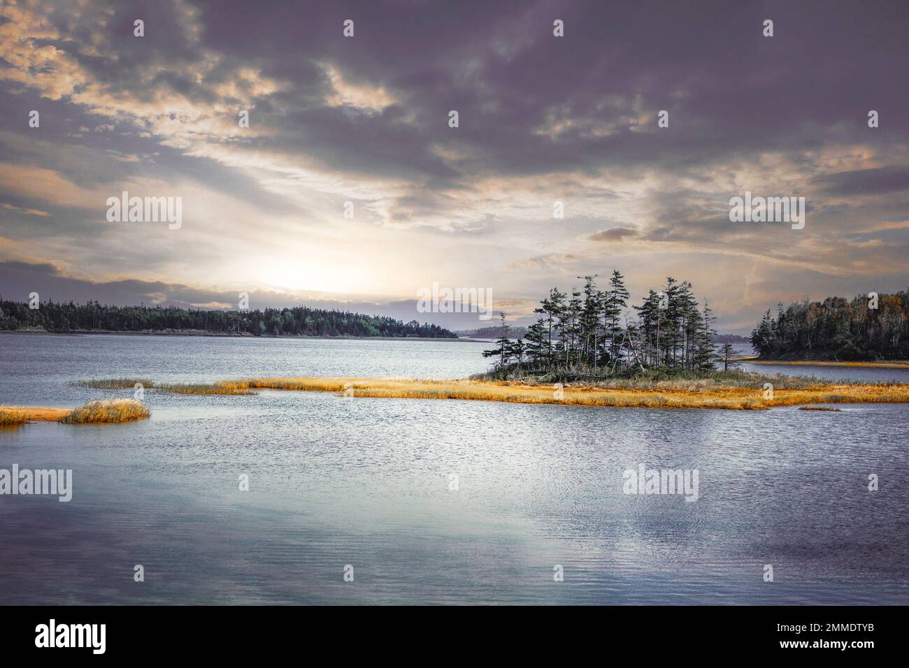 A small island hosts a stand of pine trees on coastal Nova Scotia Stock ...