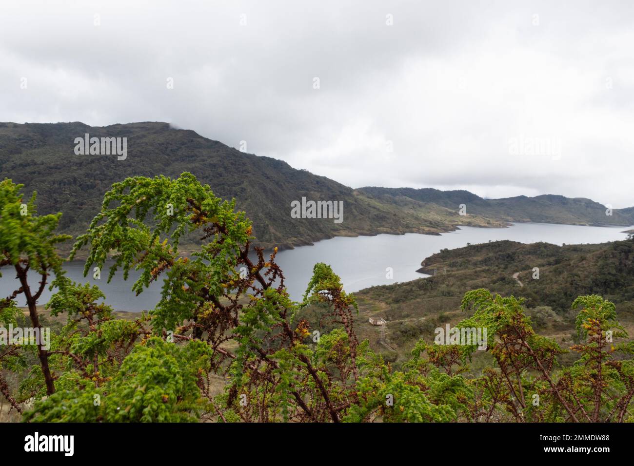 CHINGAZA, COLOMBIA - Chingaza national natural park near to bogota city ...