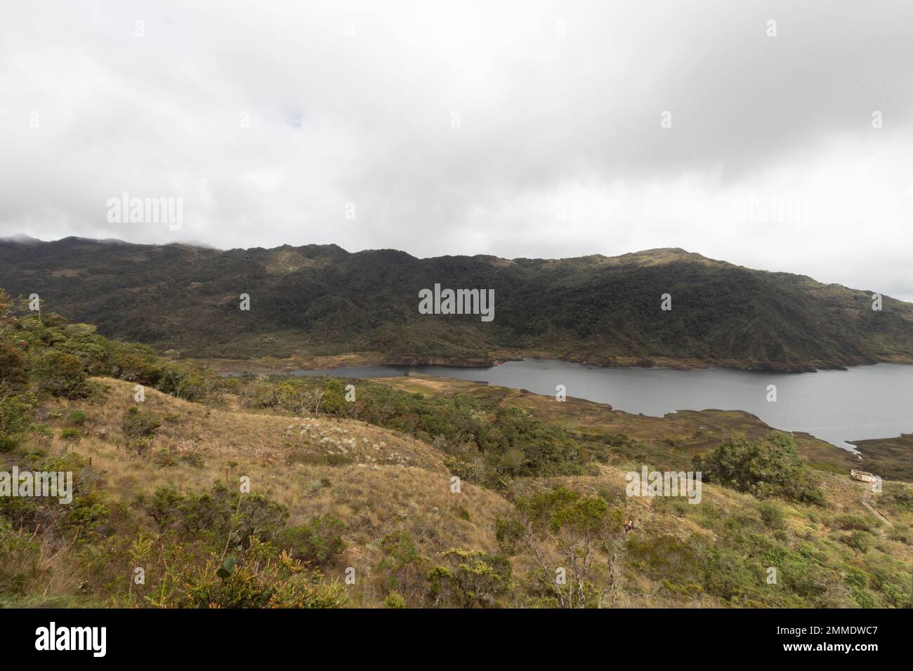 CHINGAZA, COLOMBIA - Beautiful Chingaza park landscape with andean ...