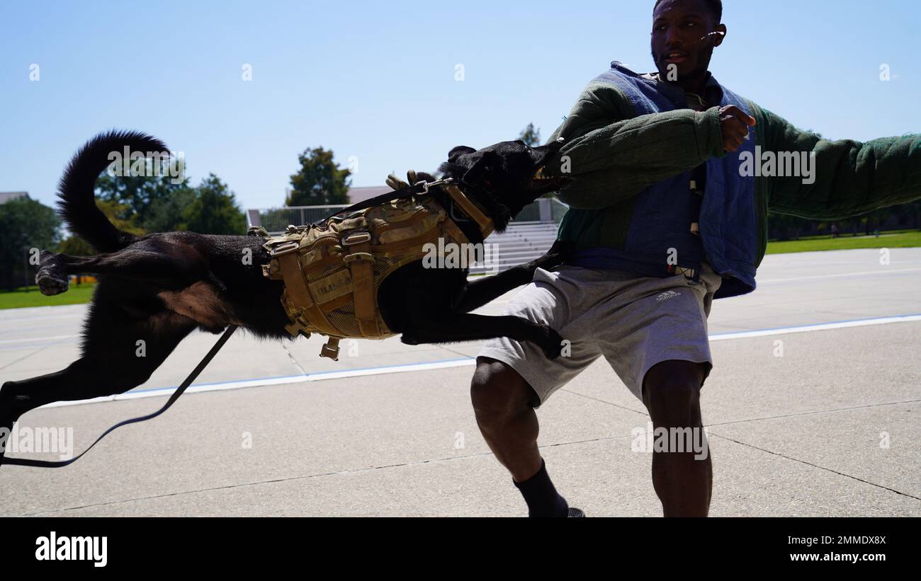U.S. Air Force Staff Sgt. Victor Henderson, 81st Security Forces ...