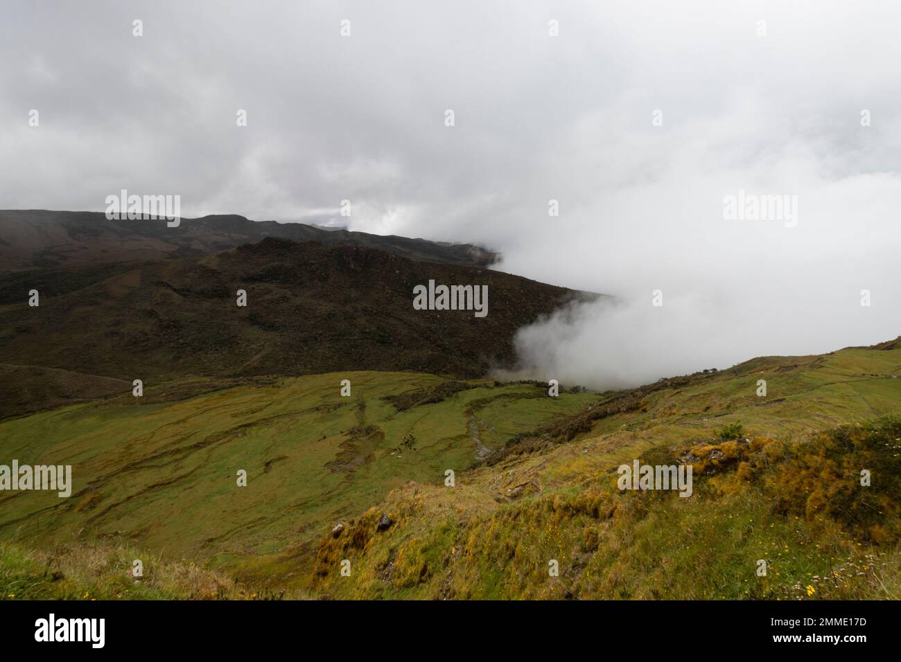 Grass paramo hi-res stock photography and images - Alamy