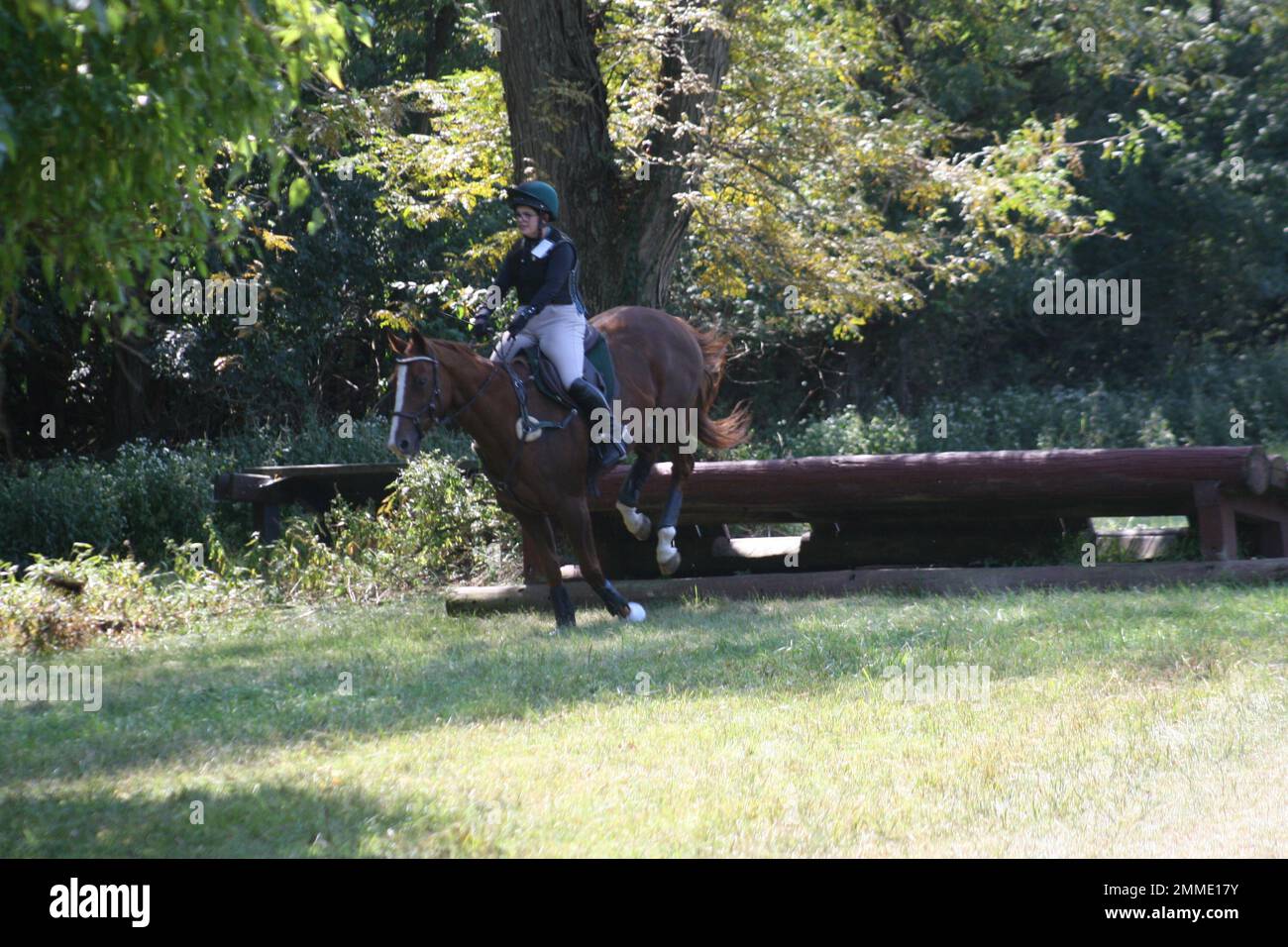 Queeny Park Equestrian Novice Event Stock Photo - Alamy