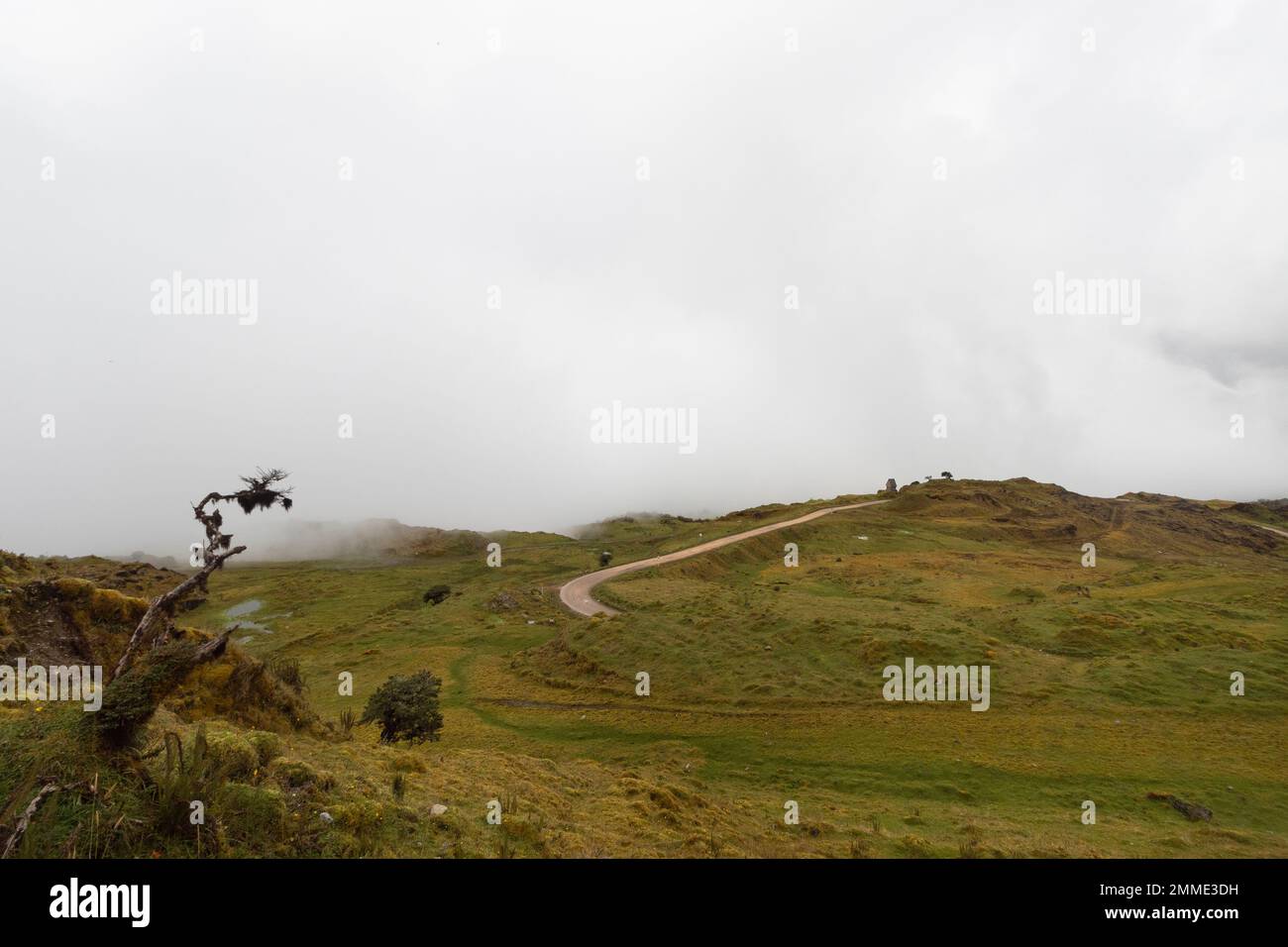 A sand road crossing through andean colombian paramo ecosystem with fog ...
