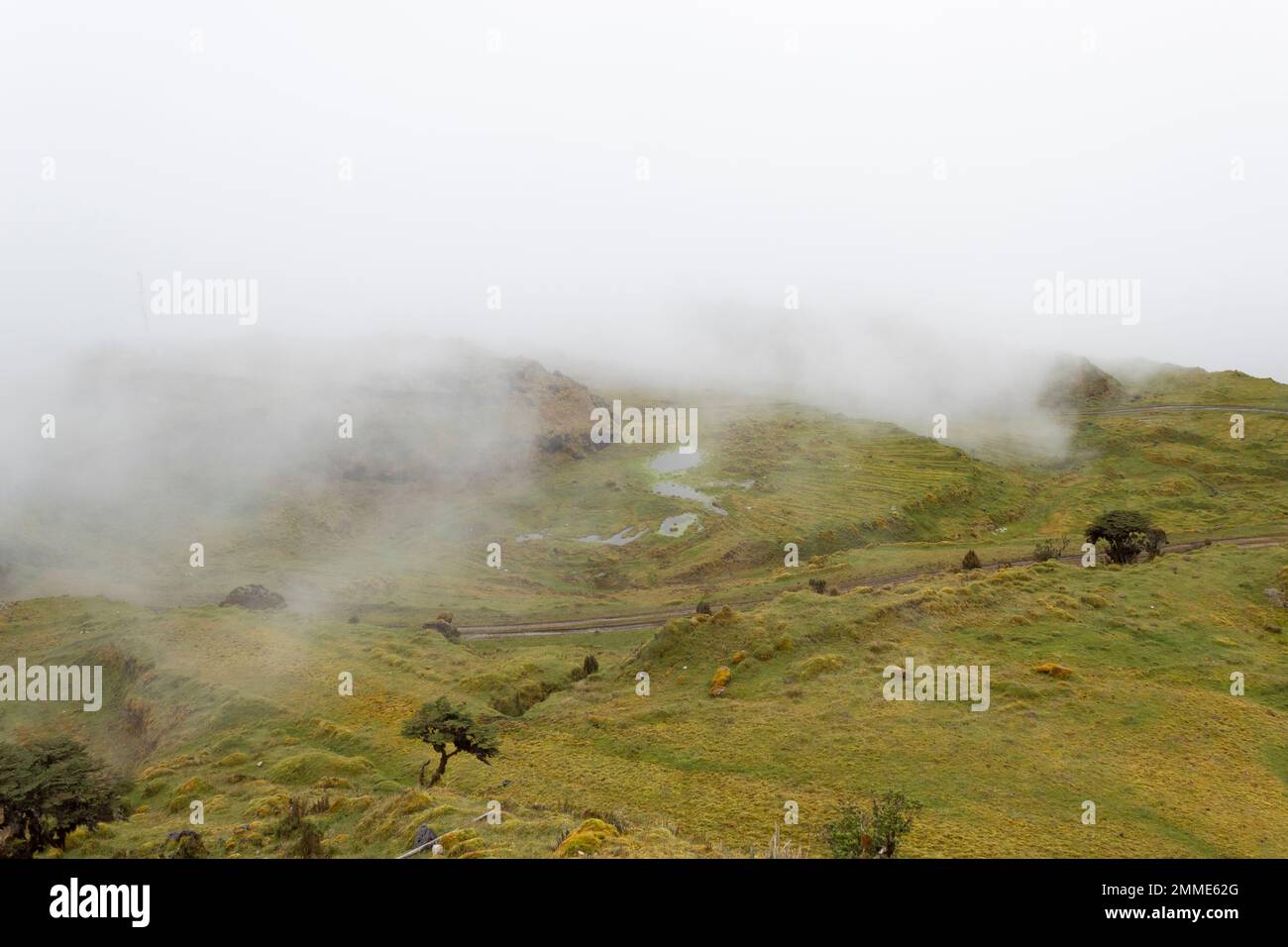 Beautiful colombian paramo ecosystem hi-res stock photography and ...