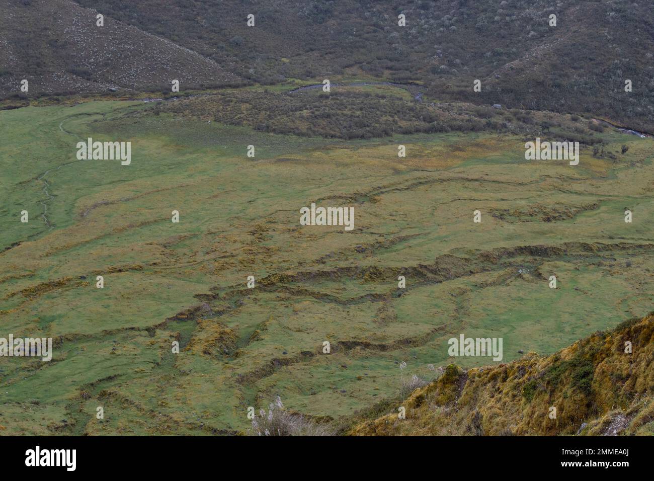 Green valley colombian paramo ecosystem viewed from a mountain top edge ...