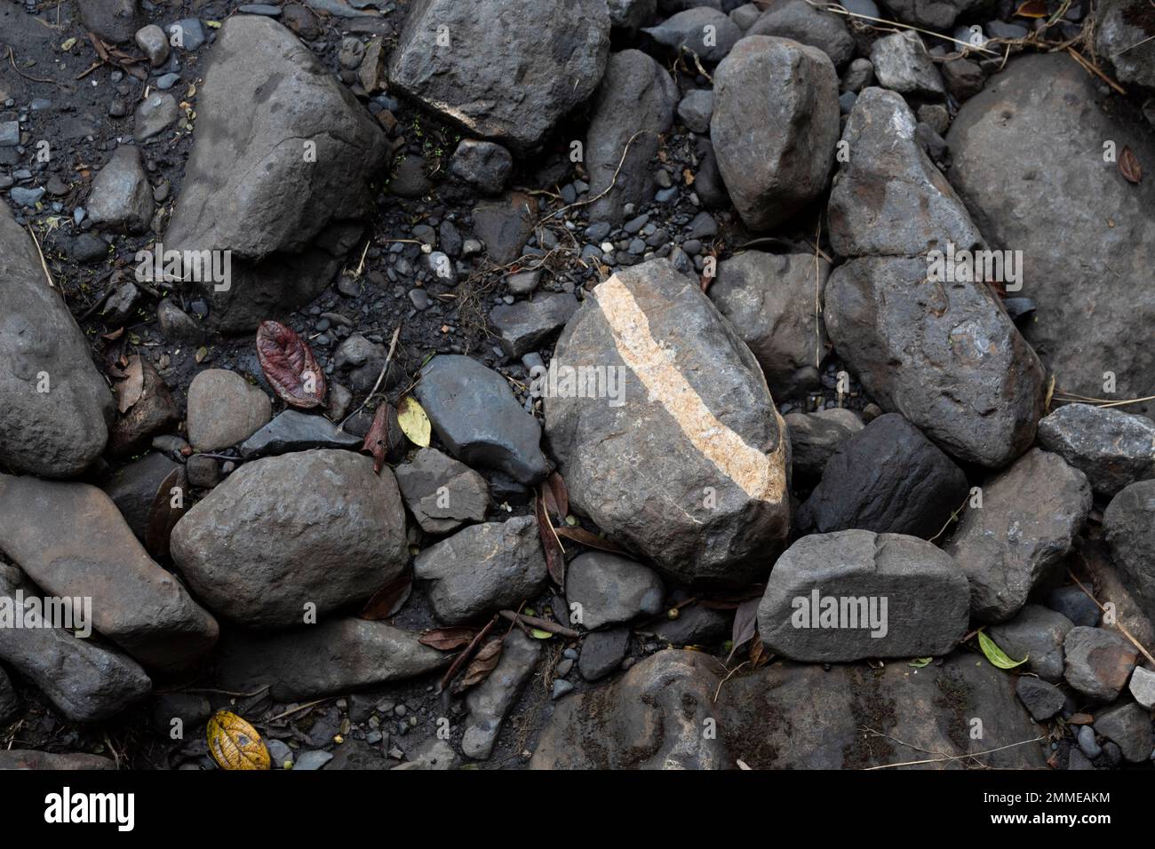 Close up to a big antique river rocks with beautiful white rock layer ...