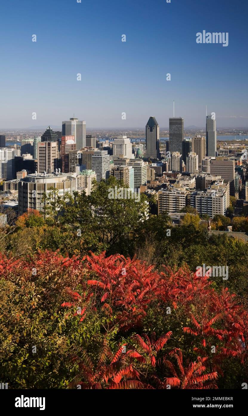 Montreal skyline taken from lookout on Mount Royal Park in autumn ...