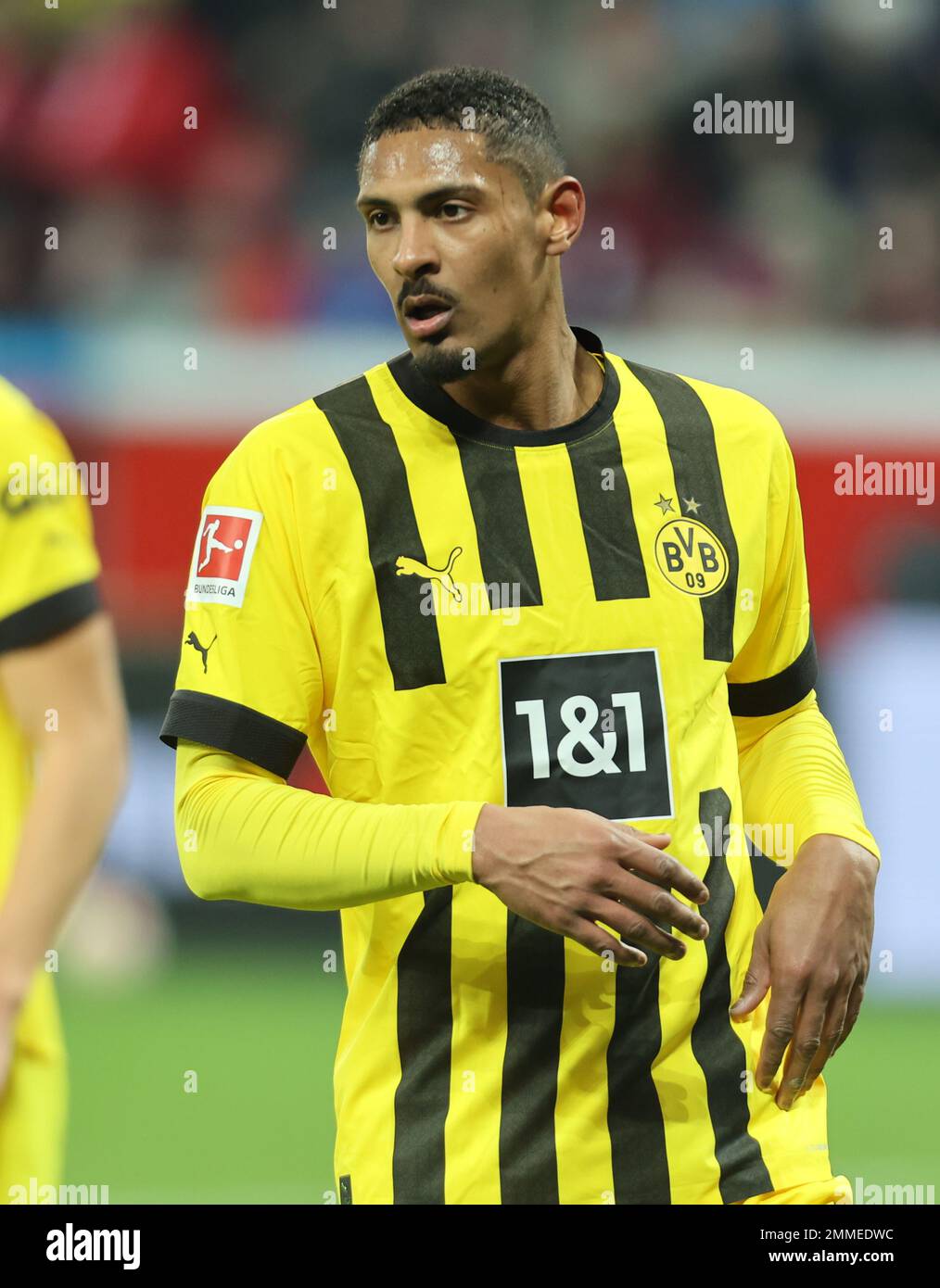 Sebastian haller dortmund hi-res stock photography and images - Alamy