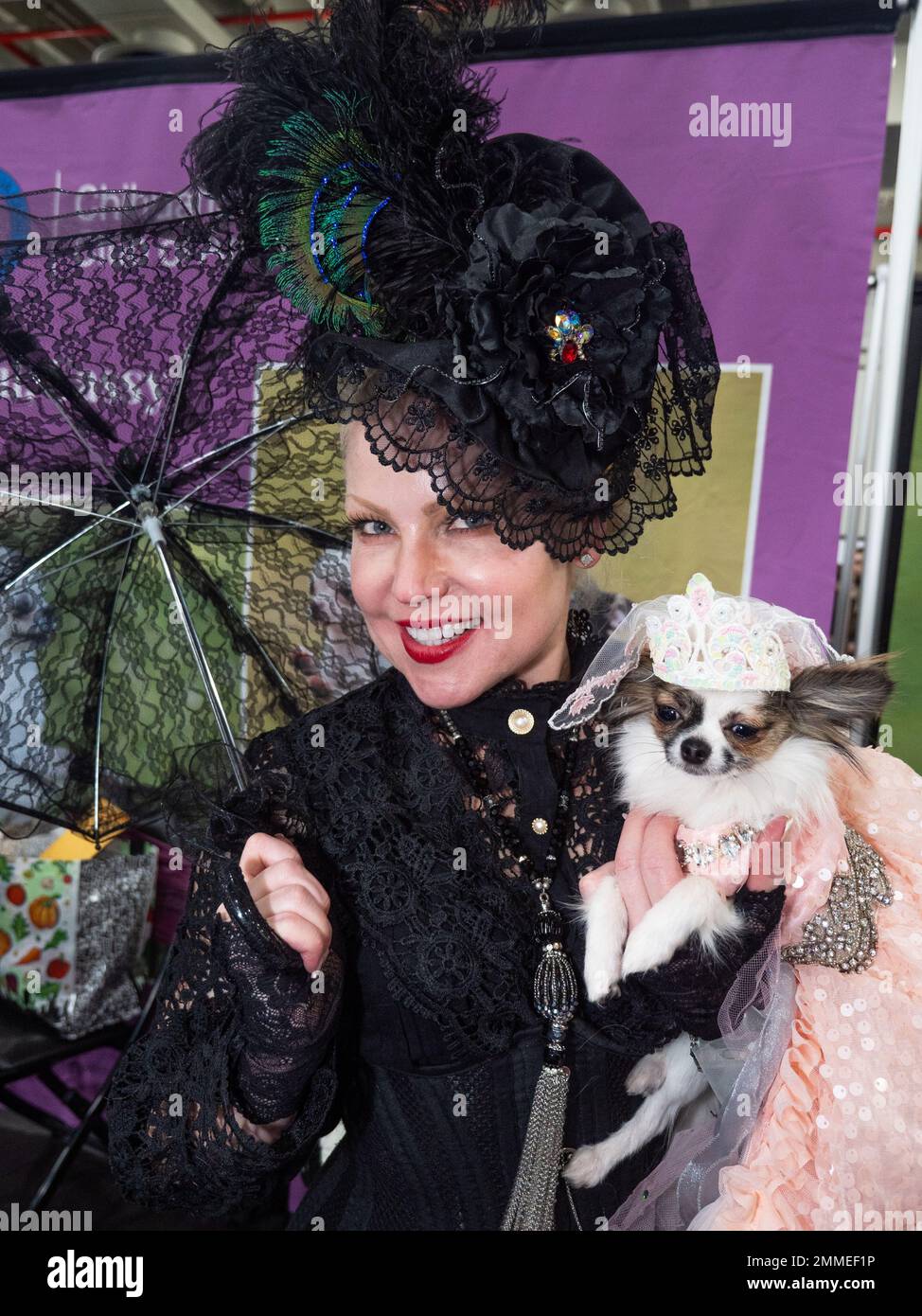 New York, New York, USA. 29th Jan, 2023. It was hands on at the AKC ...
