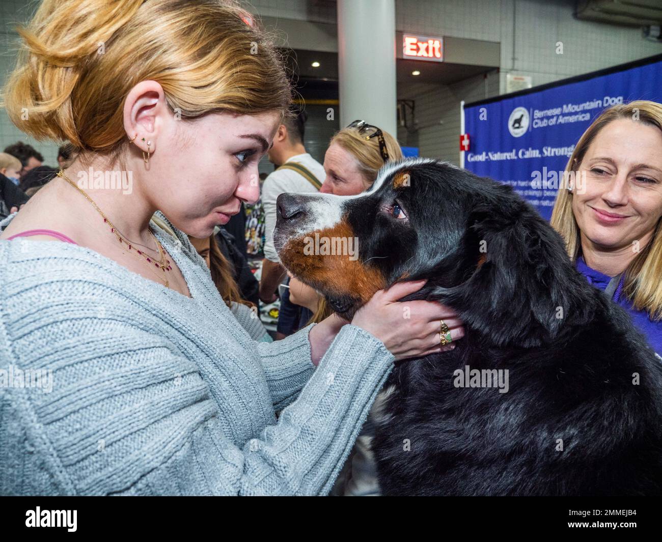 New York, New York, USA. 29th Jan, 2023. Dog lover Hanna Young makes ...