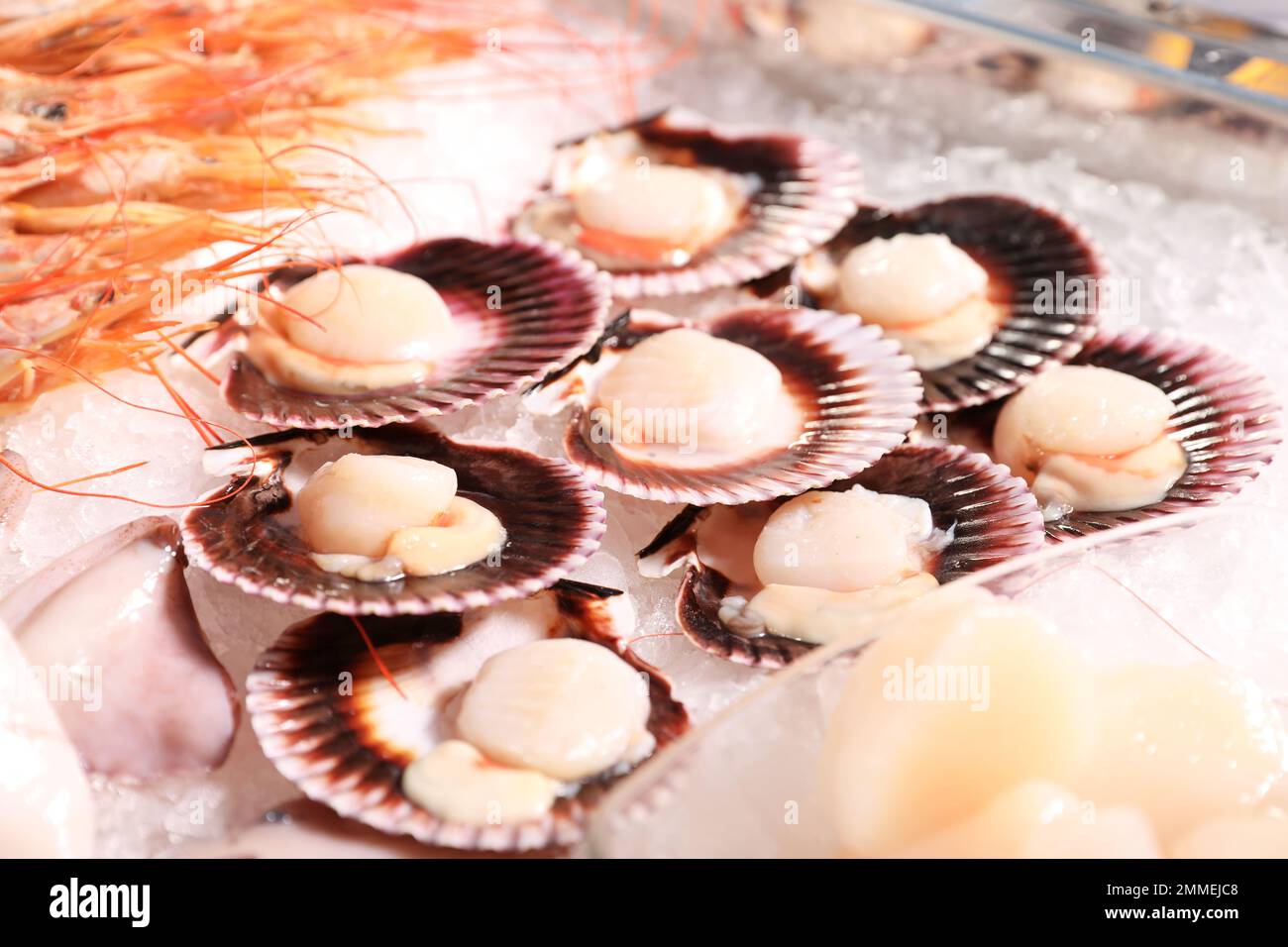 Seafood shop display of scallops hi-res stock photography and images ...