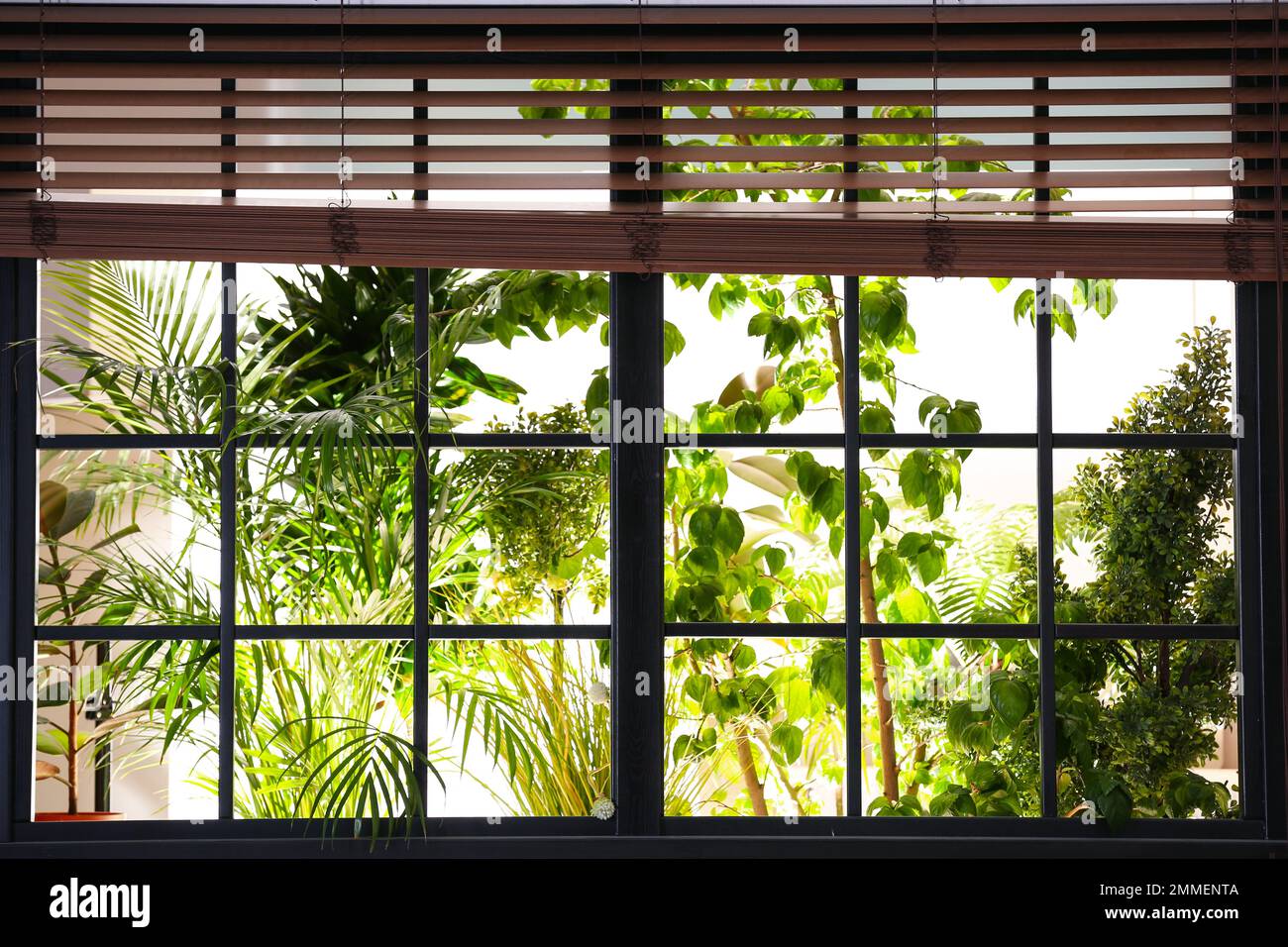 Beautiful view through window on garden in morning Stock Photo - Alamy