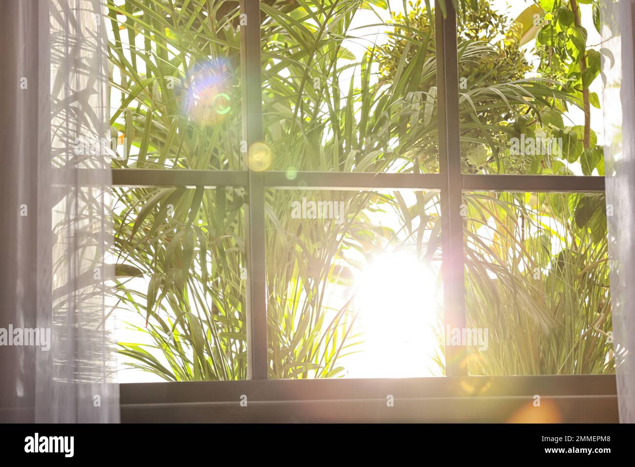 Beautiful view through window on garden in morning Stock Photo - Alamy