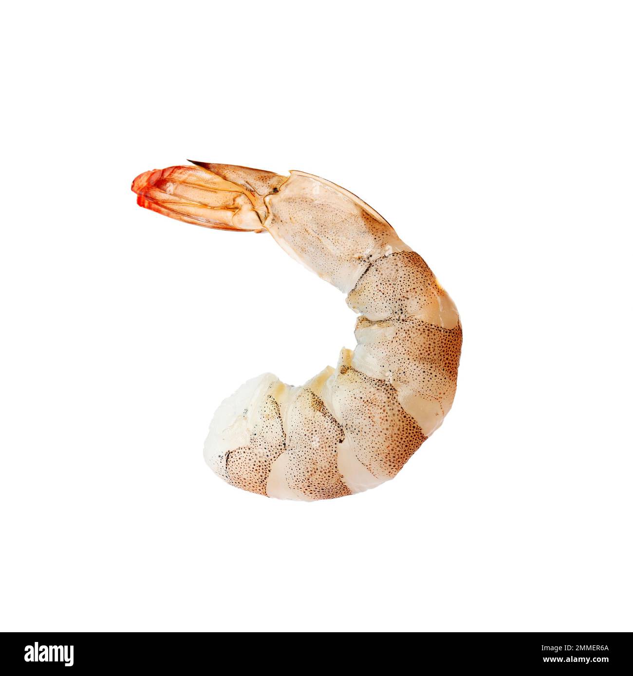 Ocean Garden Headless Shrimp