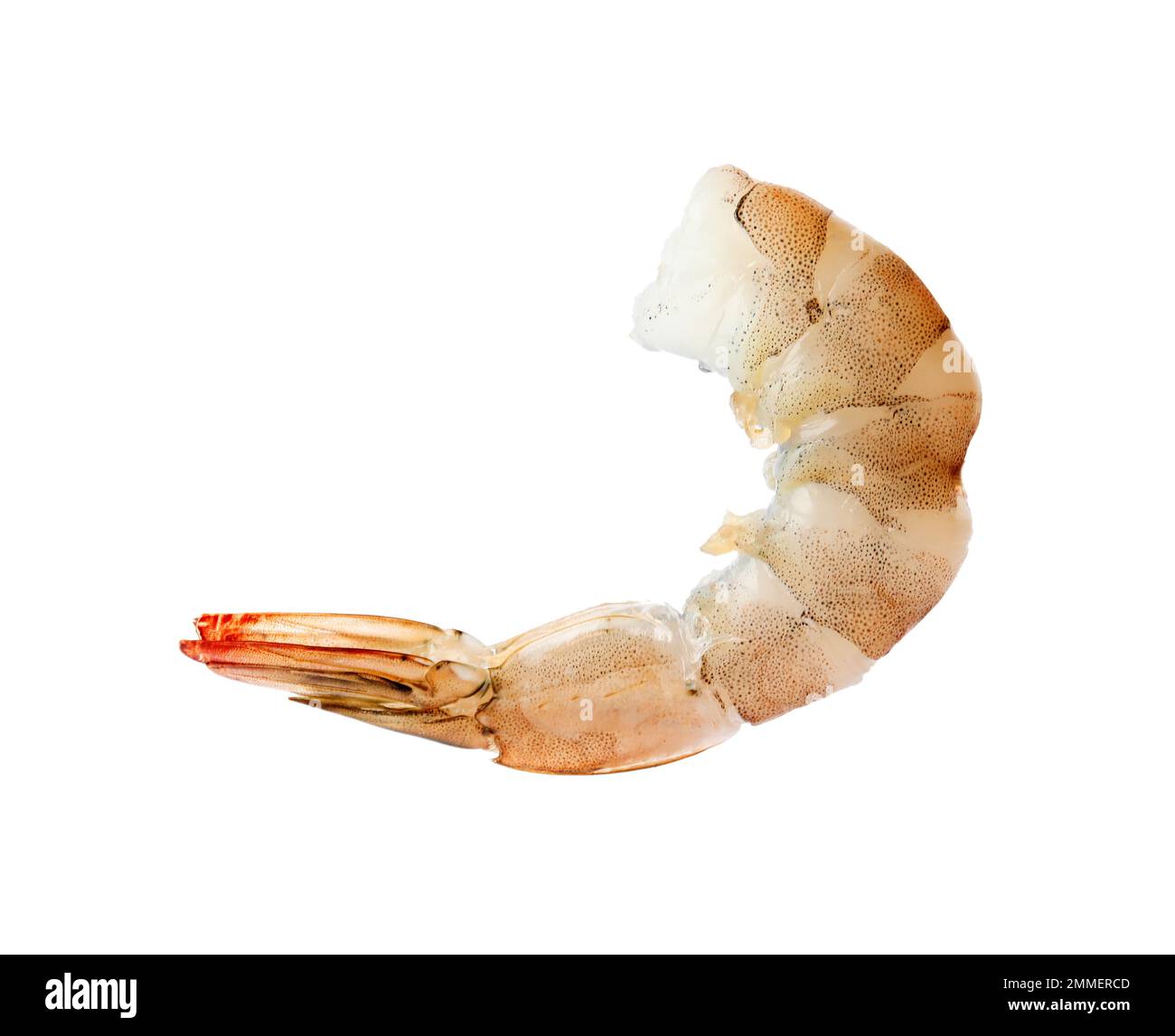 Ocean Garden Headless Shrimp