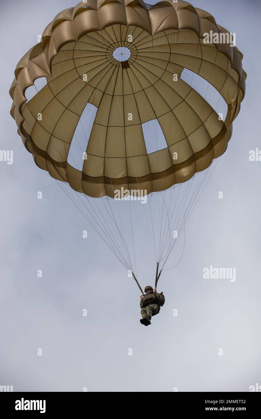 A group of U.S. Army and European Paratroopers descends onto the Drop ...