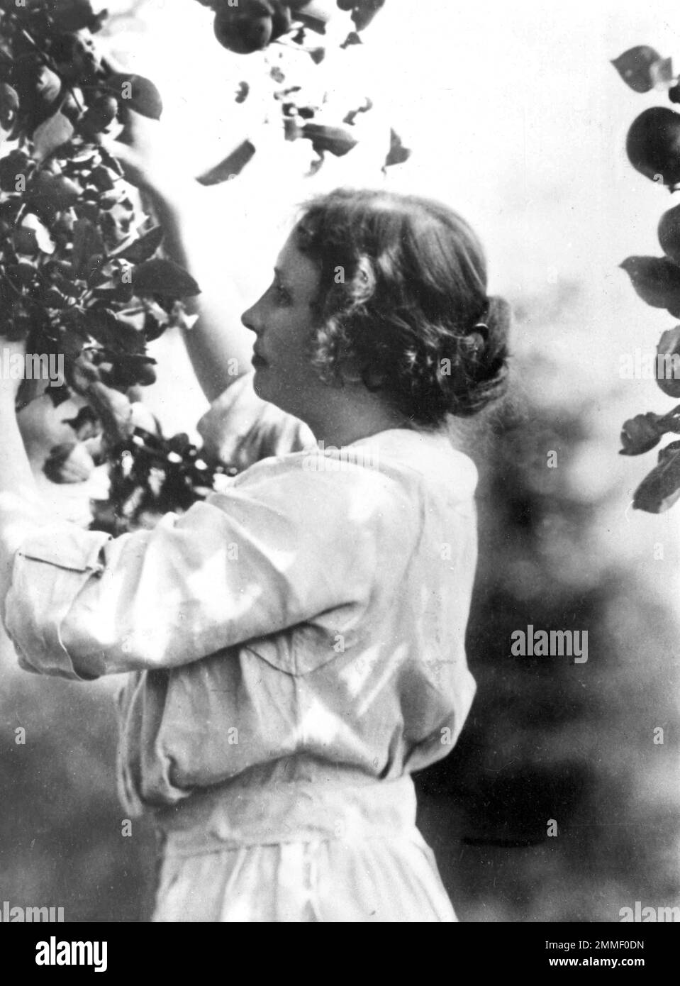 Helen Keller, deaf-blind author, is shown as a young woman in the 1920 ...