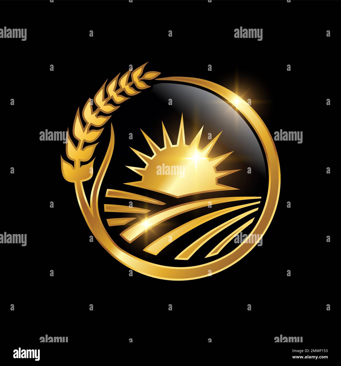 A vector illustration of Agriculture wheat rice golden farm logo in ...
