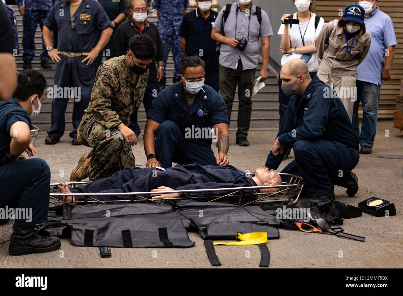U.S. Navy Sailors and 31st Marine Expeditionary Unit (MEU) Marines ...