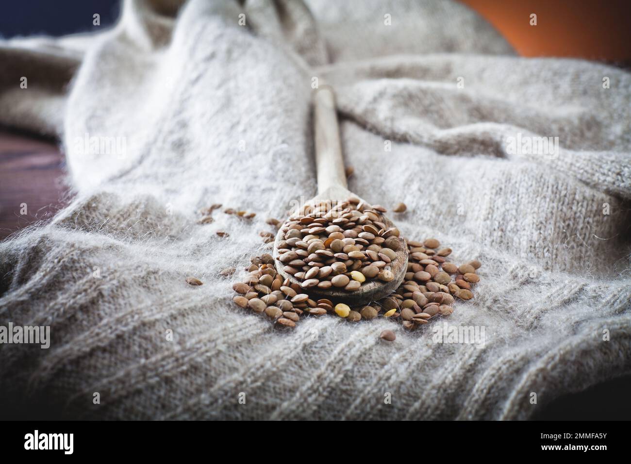 Seed wool hi-res stock photography and images - Alamy