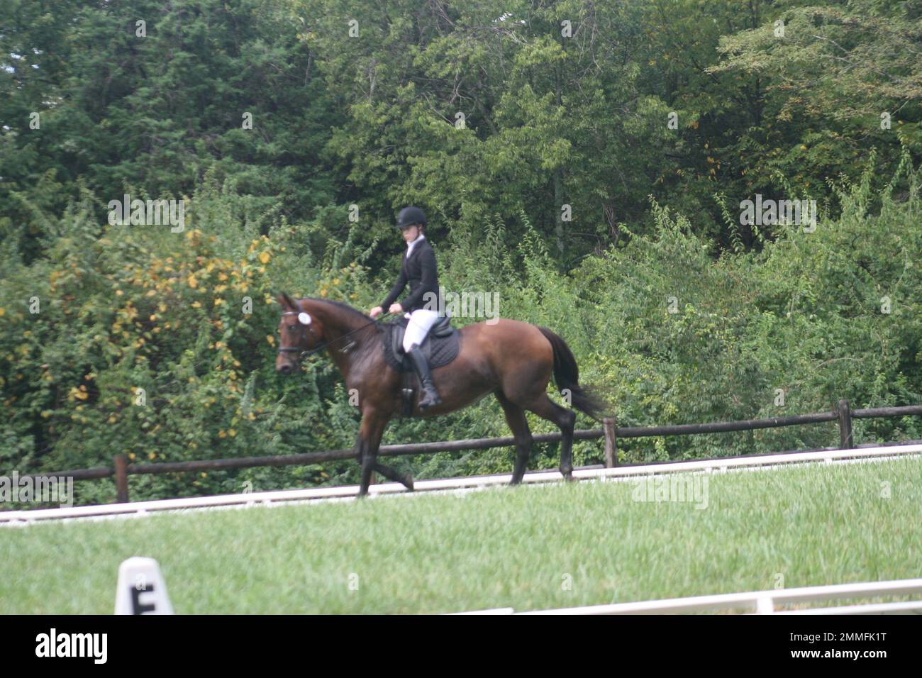 Queeny Park Equestrian 2022 This is an Novice Event. The riders show ...
