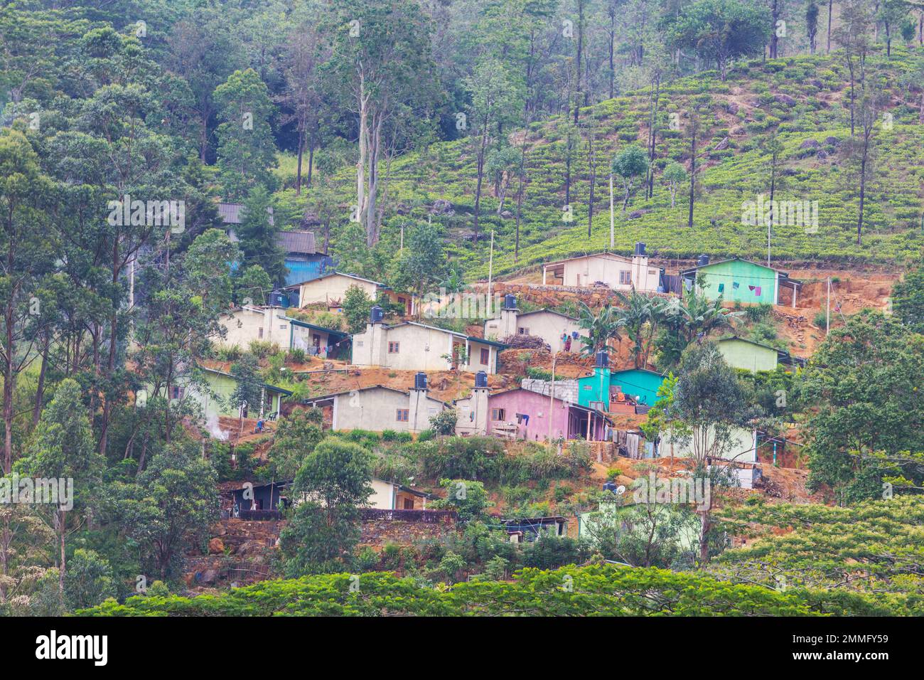 traditional village on Sri Lanka Stock Photo - Alamy