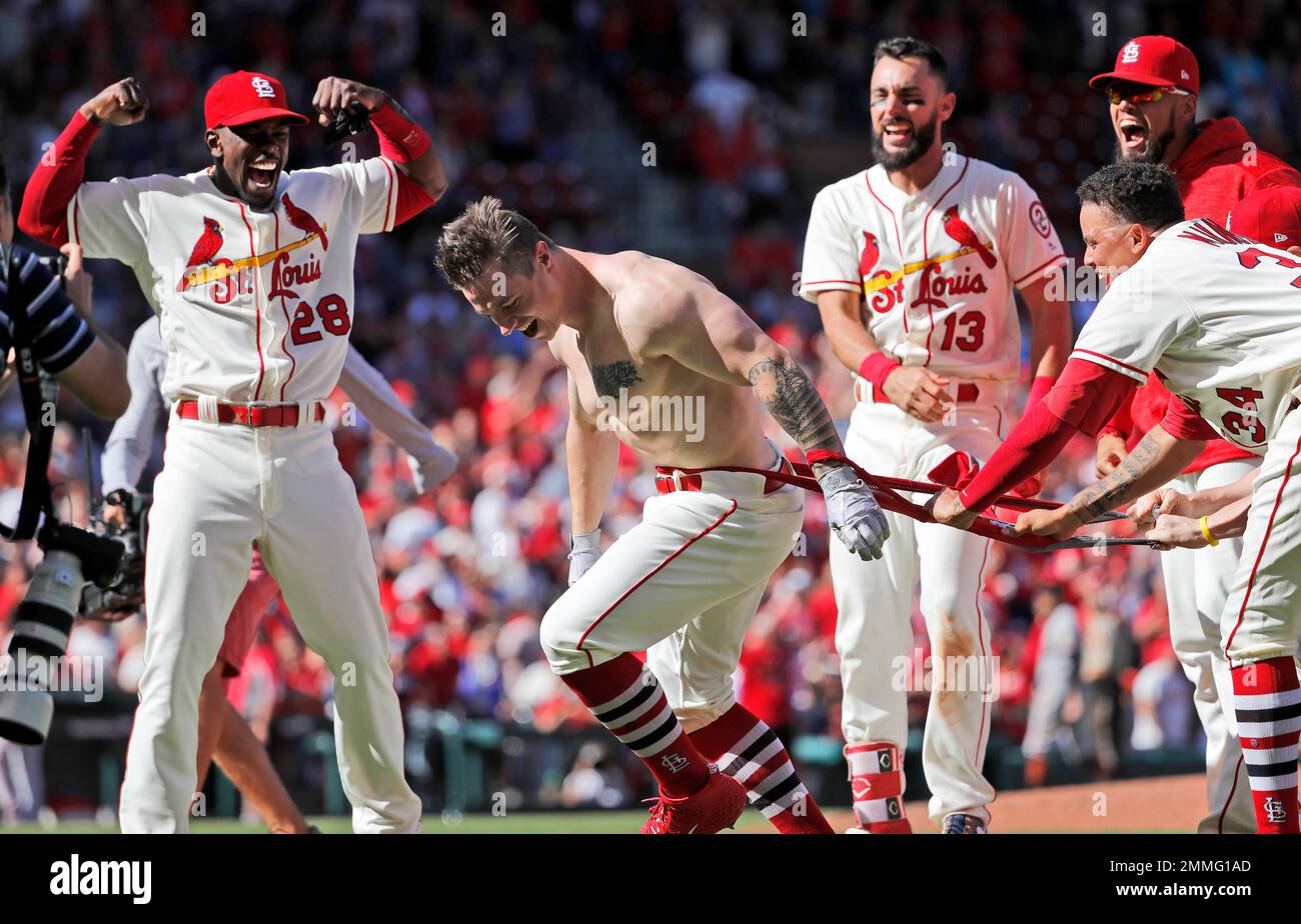 St. Louis Cardinals' Tyler O'Neill has his jersey ripped off by Yairo ...