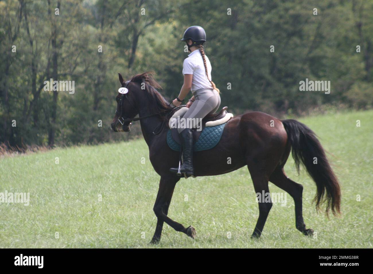 Queeny Park Equestrian 2022 the event see most of the riders in their ...