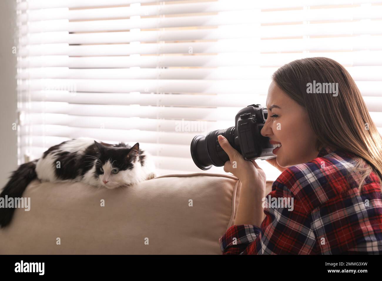 Professional animal photographer taking picture of beautiful cat at ...