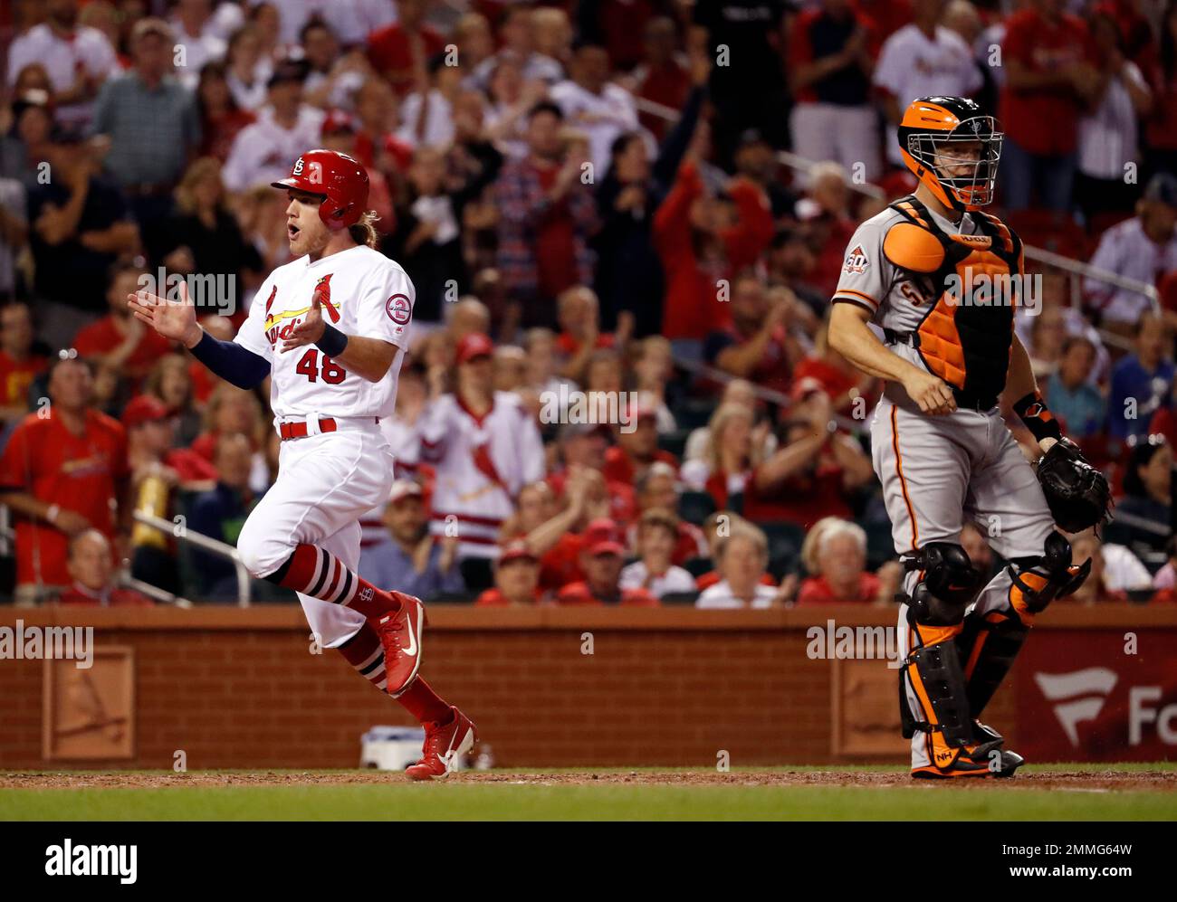 St. Louis Cardinals' Harrison Bader, left, celebrates as he scores past ...