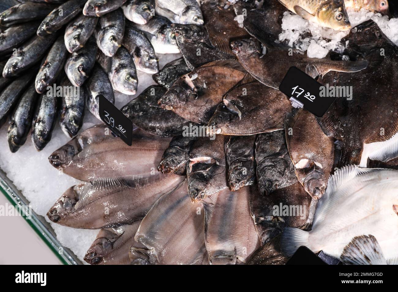 Different types of fresh fish on ice in supermarket, top view Stock ...