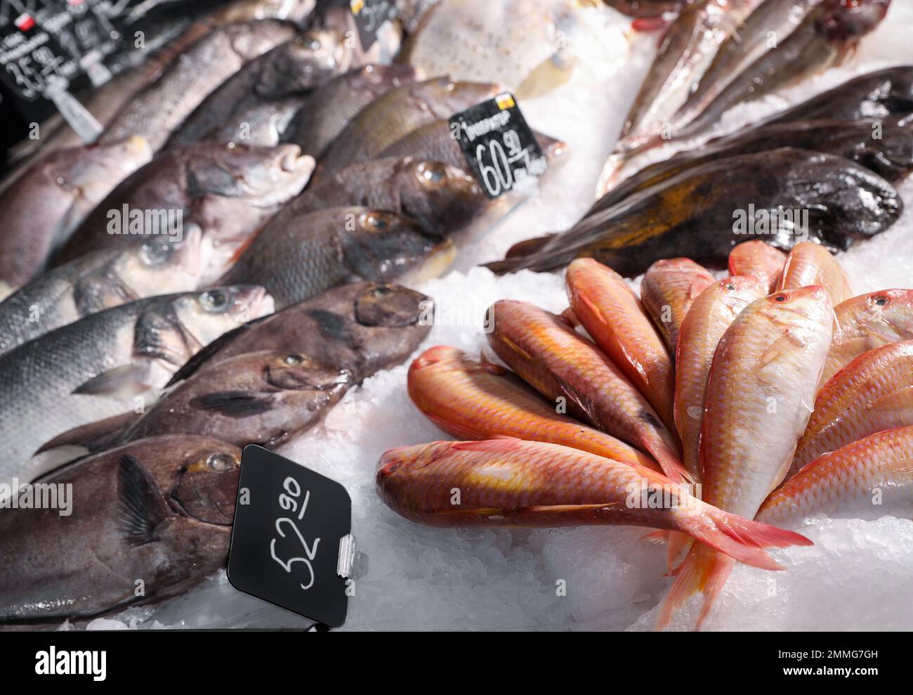 Different types of fresh fish on ice in supermarket Stock Photo - Alamy