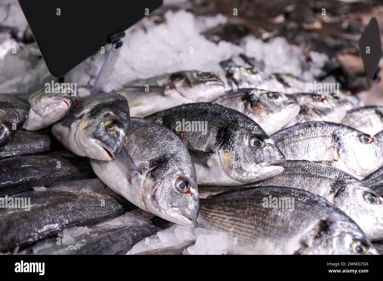 Fresh raw fish with ice in supermarket, closeup Stock Photo - Alamy