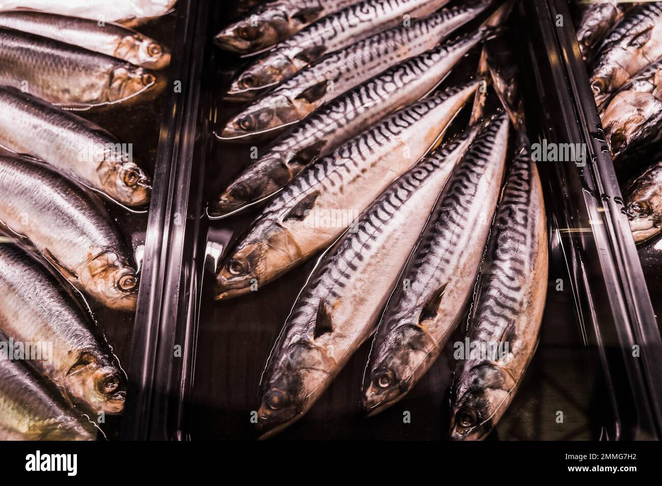 Different types of fresh fish in supermarket, closeup Stock Photo - Alamy