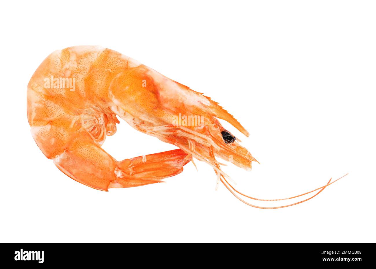 Delicious cooked whole shrimp isolated on white Stock Photo - Alamy