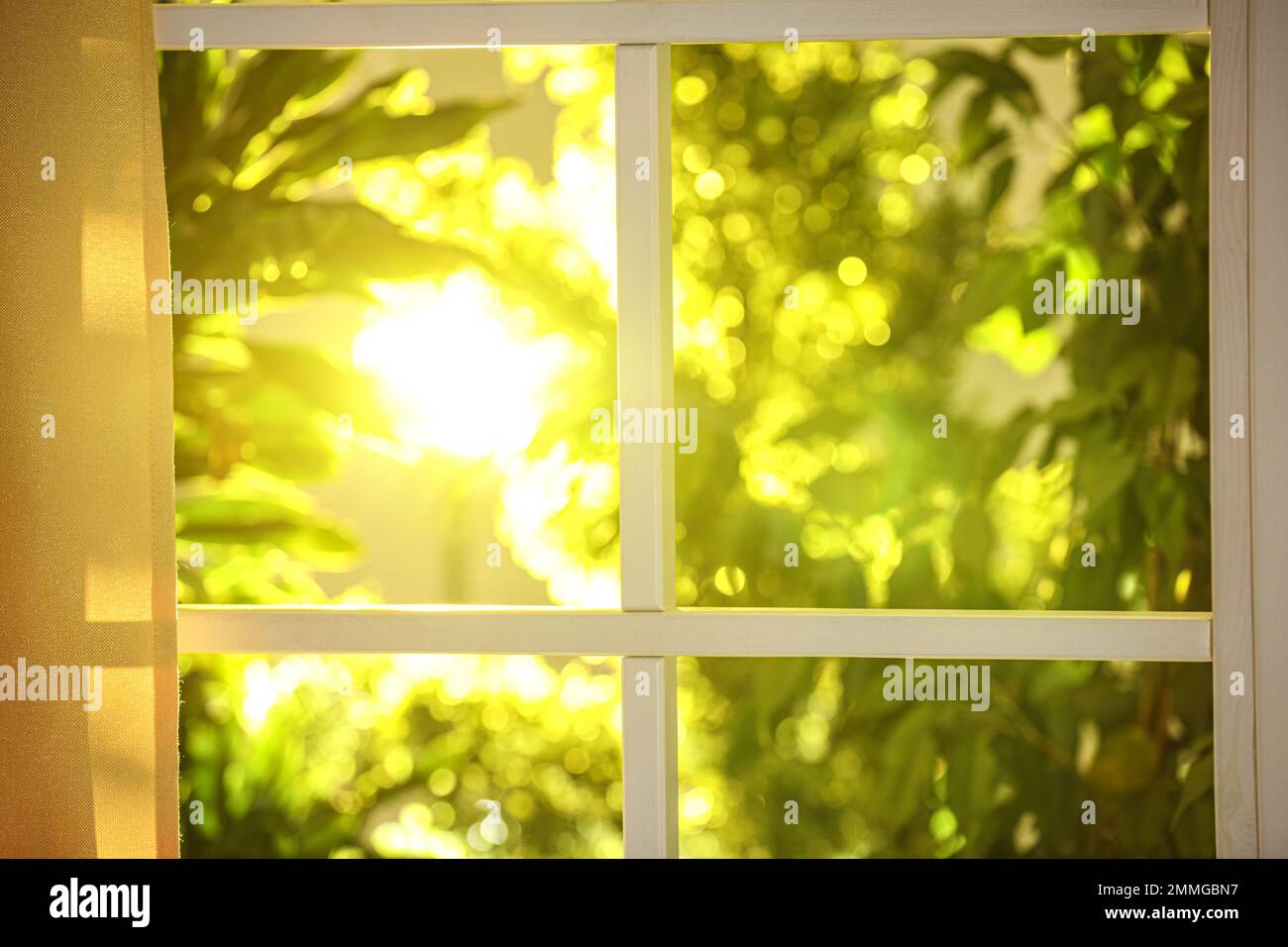 Beautiful view through window on garden in morning Stock Photo - Alamy