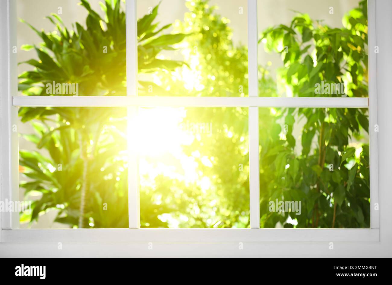 Beautiful view through window on garden in morning Stock Photo - Alamy