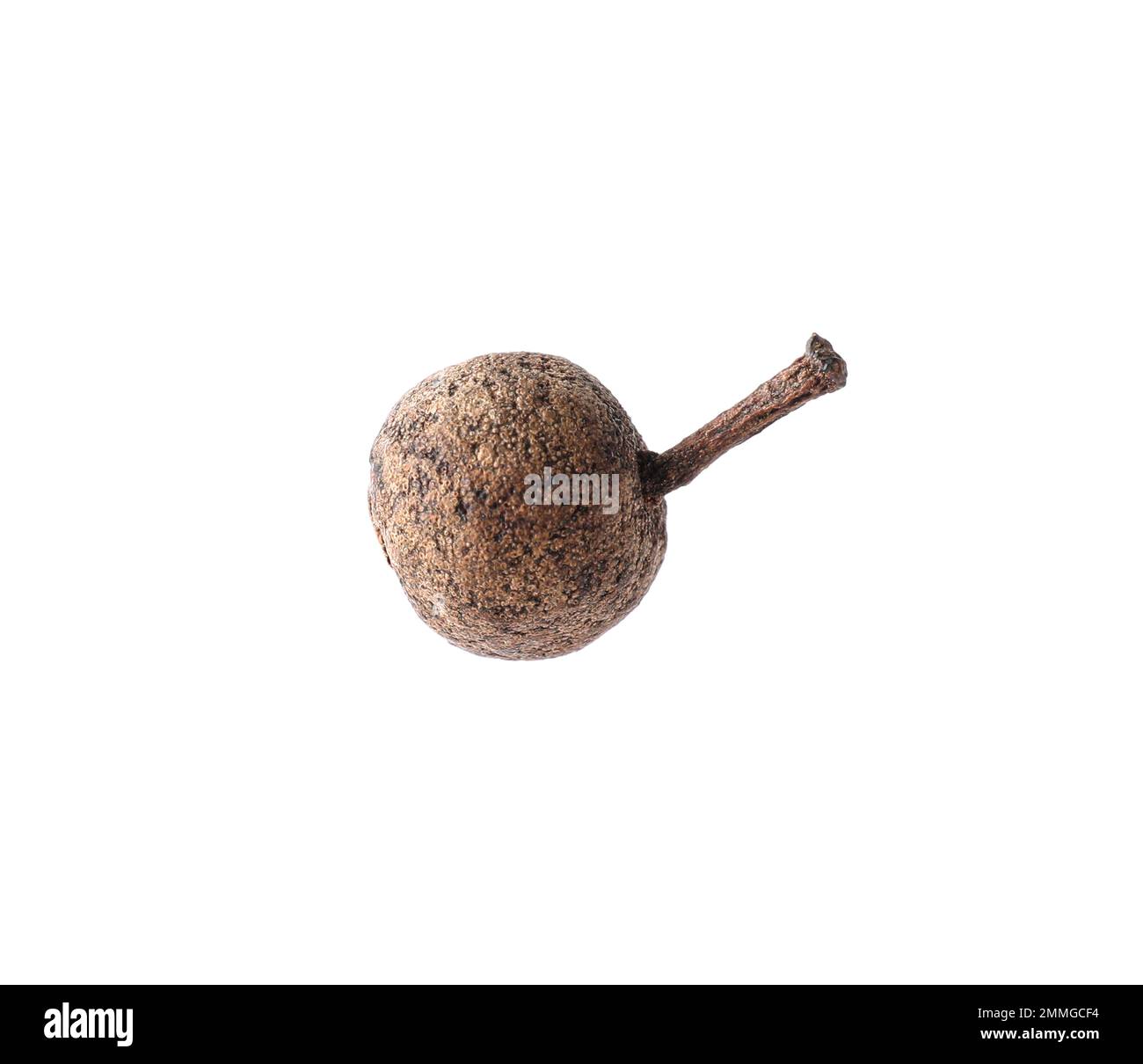 Spicy black pepper grain isolated on white Stock Photo - Alamy