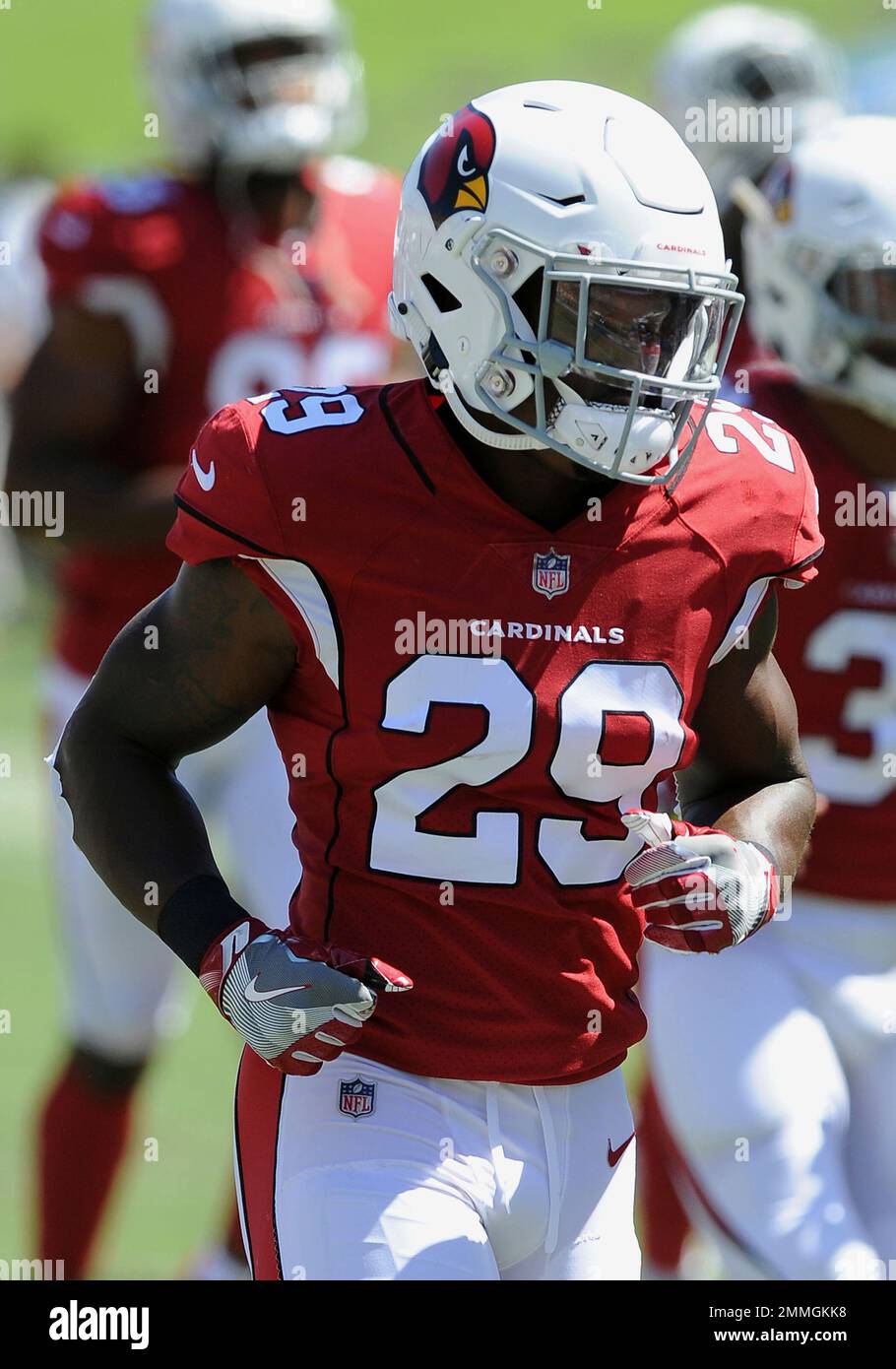 Arizona Cardinals running back Chase Edmonds (29) on the field during ...