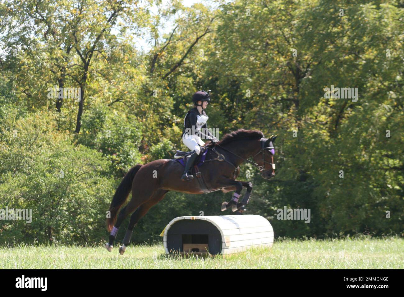 Riders showing their skills at the Queeny Park Equestrian events 2022 ...