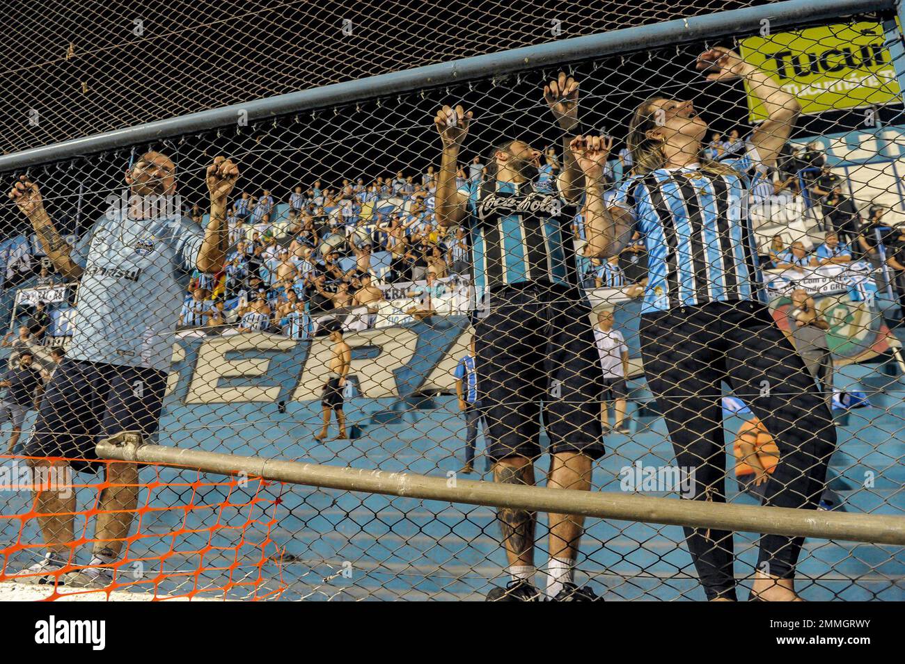 Brazil's Gremio fans attend a Copa Libertadores soccer game against ...
