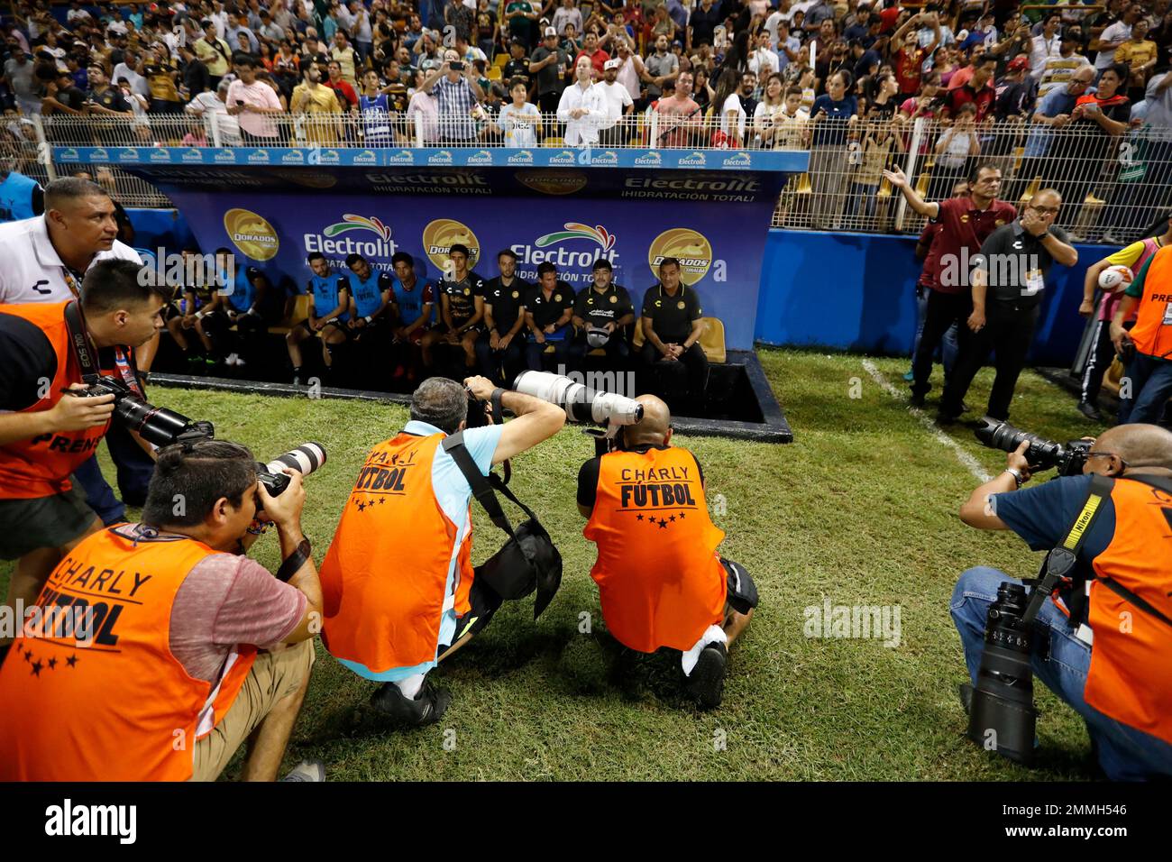 Photographers take pictures of Diego Maradona, head coach of Dorados de ...