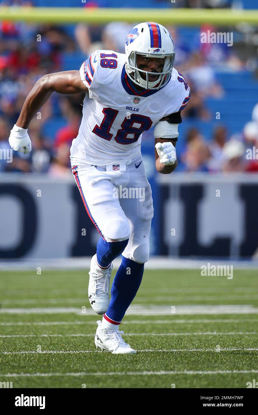 Buffalo Bills wide receiver Andre Holmes (18) in action against the Los ...