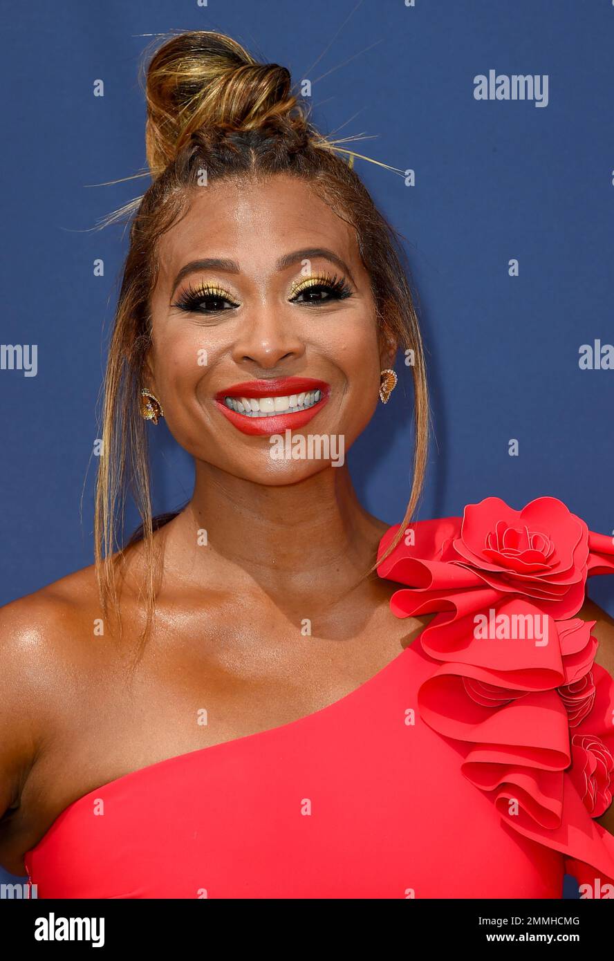 Tanika Ray arrives at the 70th Primetime Emmy Awards on Monday, Sept ...