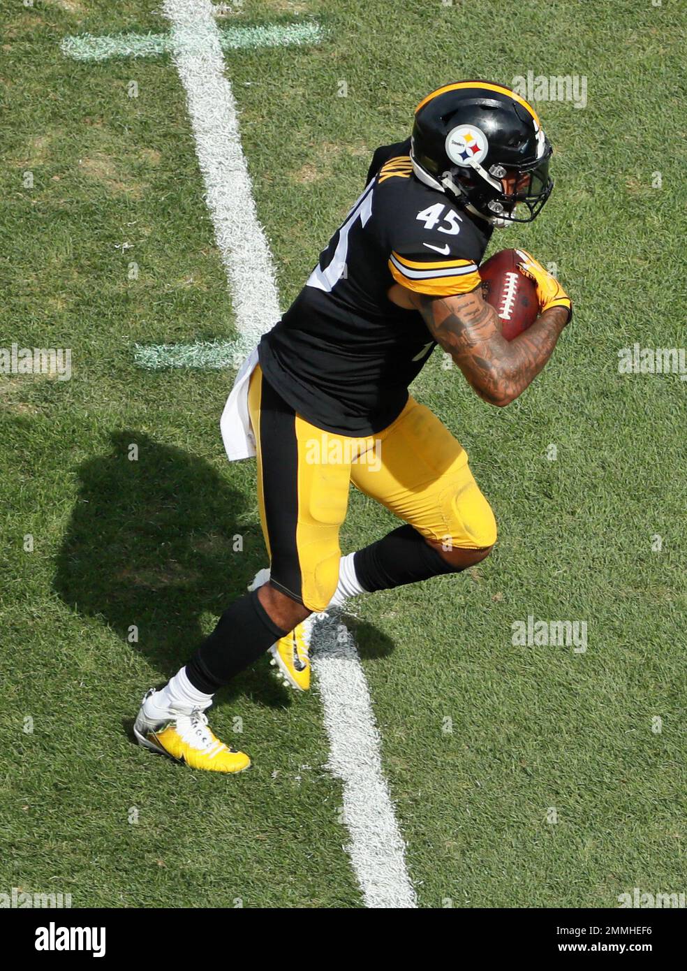 Pittsburgh Steelers fullback Roosevelt Nix-Jones (45) plays against the ...