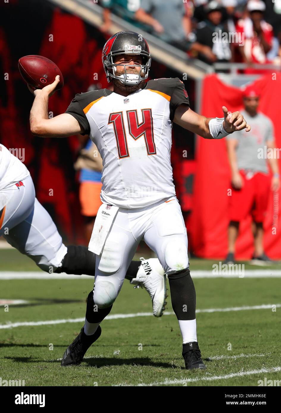 Tampa Bay Buccaneers quarterback Ryan Fitzpatrick (14) looks to pass ...