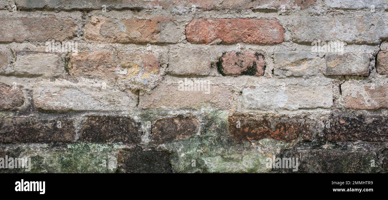 Grungy and worn out brick wall. Backdrop or background concept Stock ...