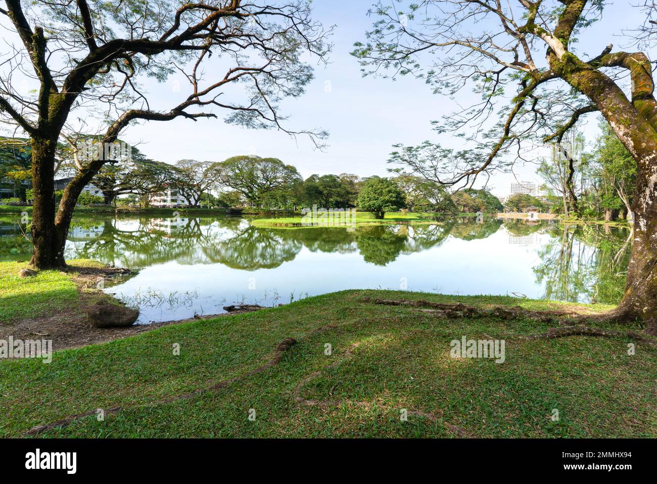 Taiping, Malaysia - 1st Jan 2023: Beautiful Taiping Lake Gardens, a ...
