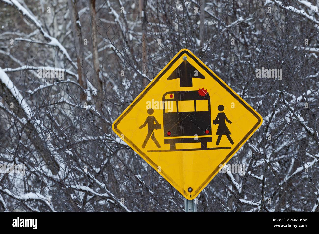Rural school bus ahead warning sign. Quebec, Canada Stock Photo - Alamy